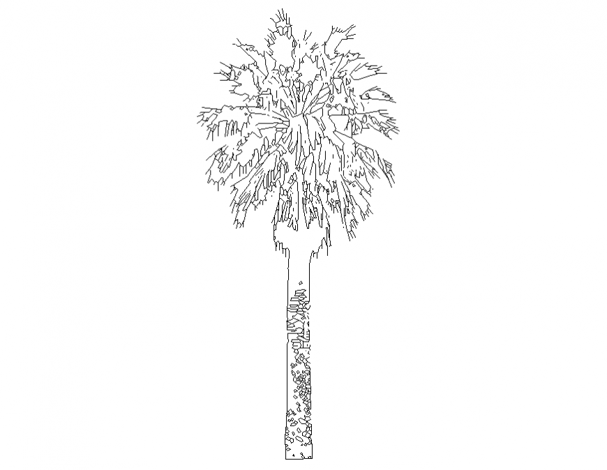 Common palm tree prospectus front view cad block details dwg file Common palm tree prospectus front view cad block details dwg file
