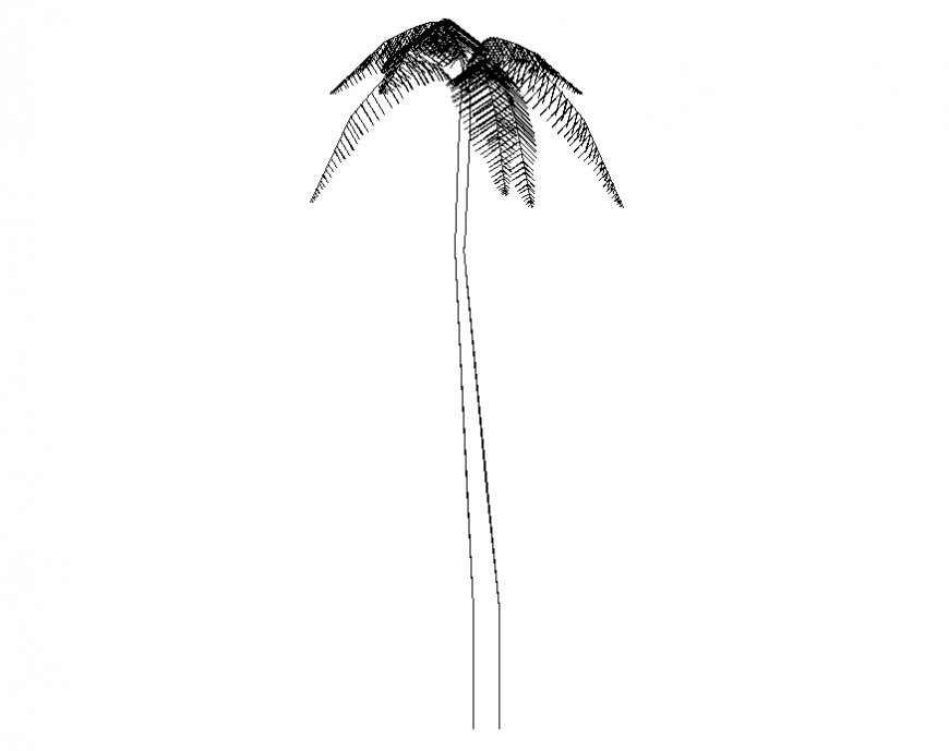 Common palm tree prospectus front view cad drawing details dwg file Common palm tree prospectus front view cad drawing details dwg file