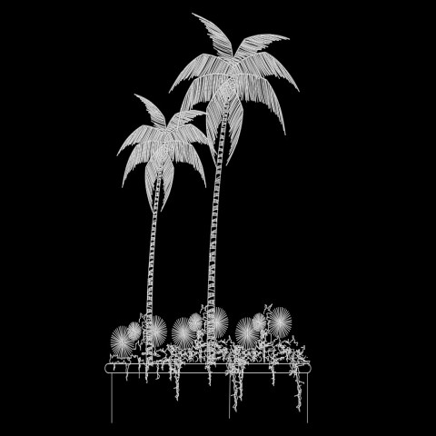 Coconut Tree CAD Blocks Free Download DWG File