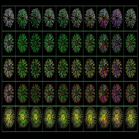 Flower Plant CAD Blocks Top View DWG File