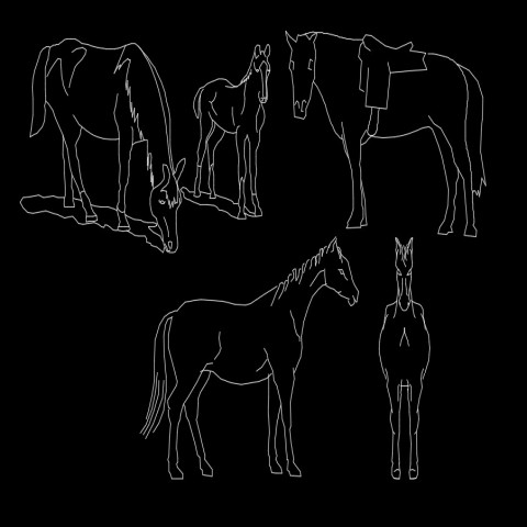 Horse CAD blocks