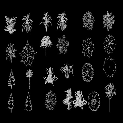 Landscaping CAD Blocks Drawing Free Download DWG File