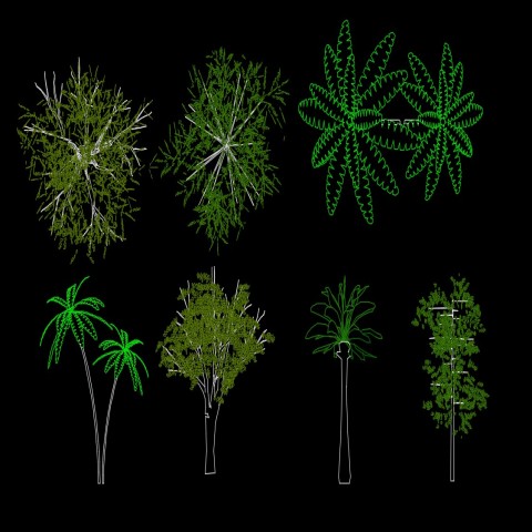 Tree And Plant CAD Blocks Free Download DWG File