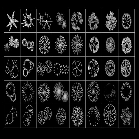 Tree And Plant CAD Blocks Top View Free Download DWG File