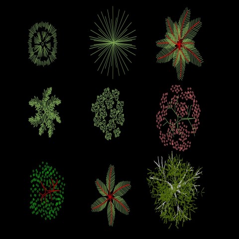 Tree Plant CAD Blocks Top View DWG File