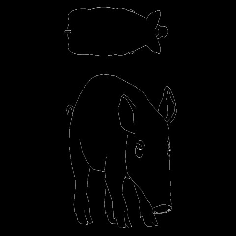 Pig front and side view cad block design dwg file