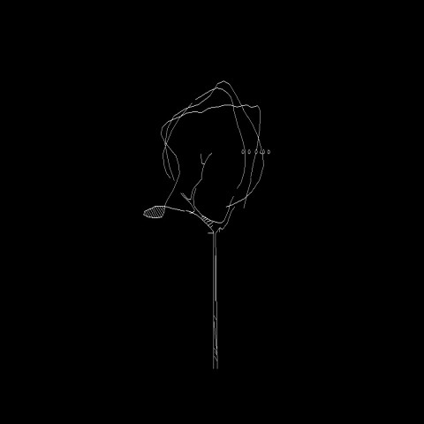 Rose plant elevation cad block design dwg file